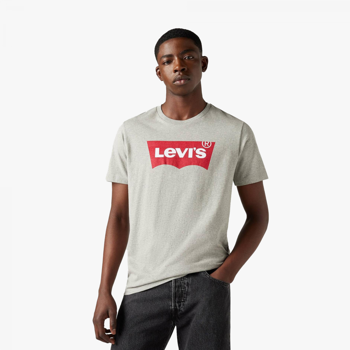 Levis Graphic Set In Neck - 17783 0138 - VEIN STORE